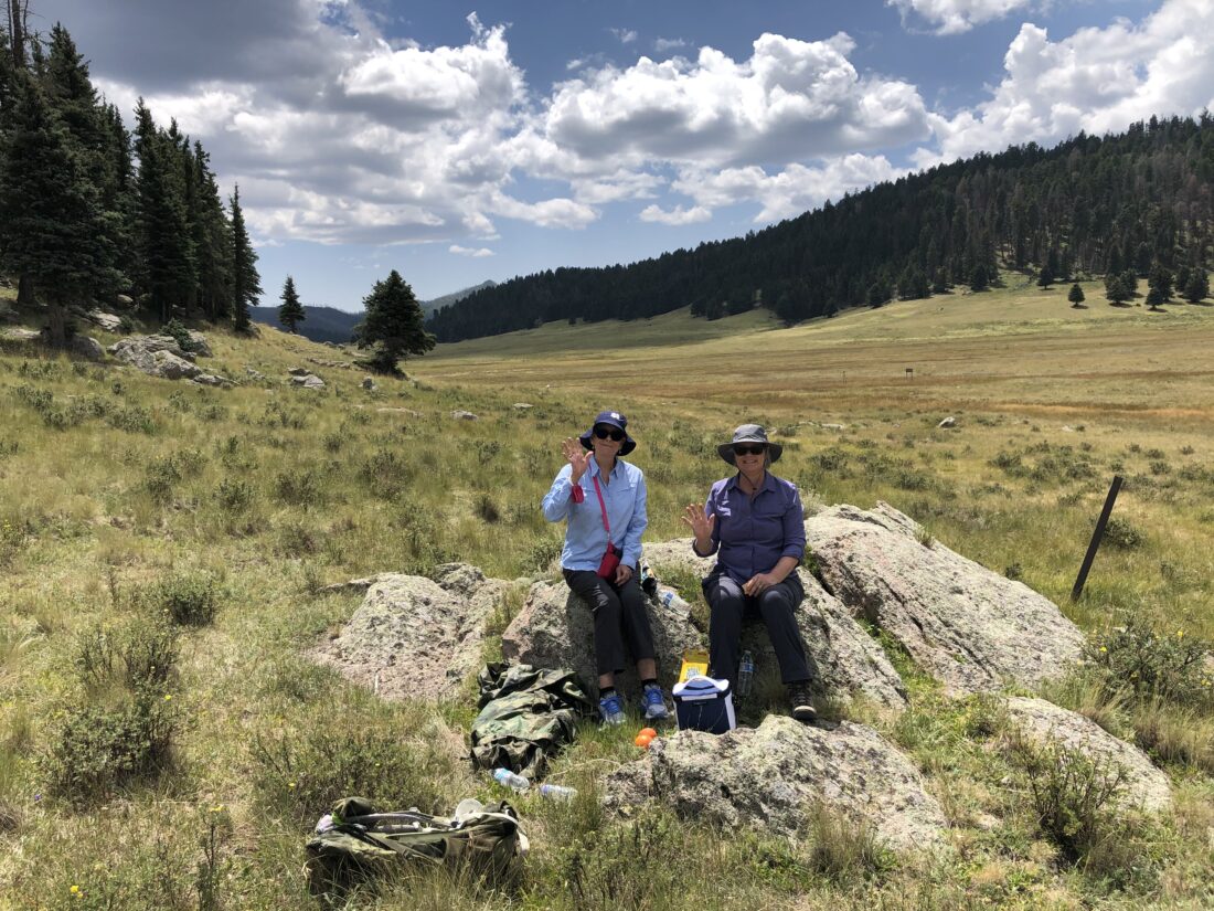 Mike & Donna Mullane and their passage through the year of Covid ...